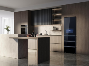 创新产品 技术赋能 标准制定——博西家电引领本土化创新之路 - 热点科技 - ITheat.com