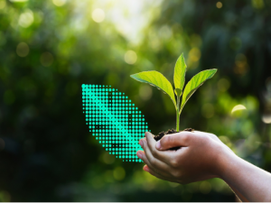 华硕荣获“EPEAT Climate+ Champion”永续先驱称号 - 热点科技 - ITheat.com