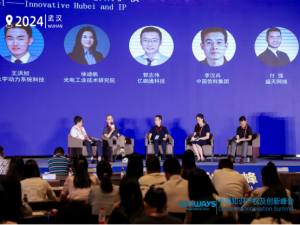 亿咖通科技受邀参加“2024中国知识产权及创新峰会” - 热点科技 - ITheat.com