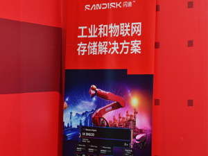 覆盖工业至车规级，闪迪专业闪存存储设备亮相IOTE 2025 - 热点科技 - ITheat.com